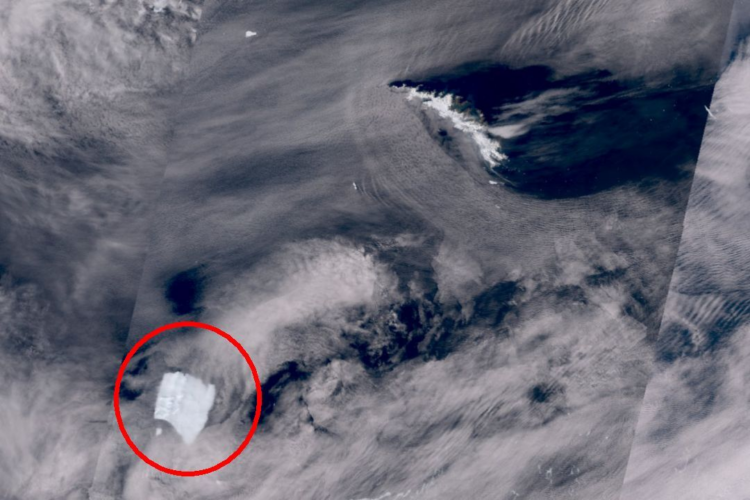 World's biggest iceberg runs aground after a near-40-year journey from ...